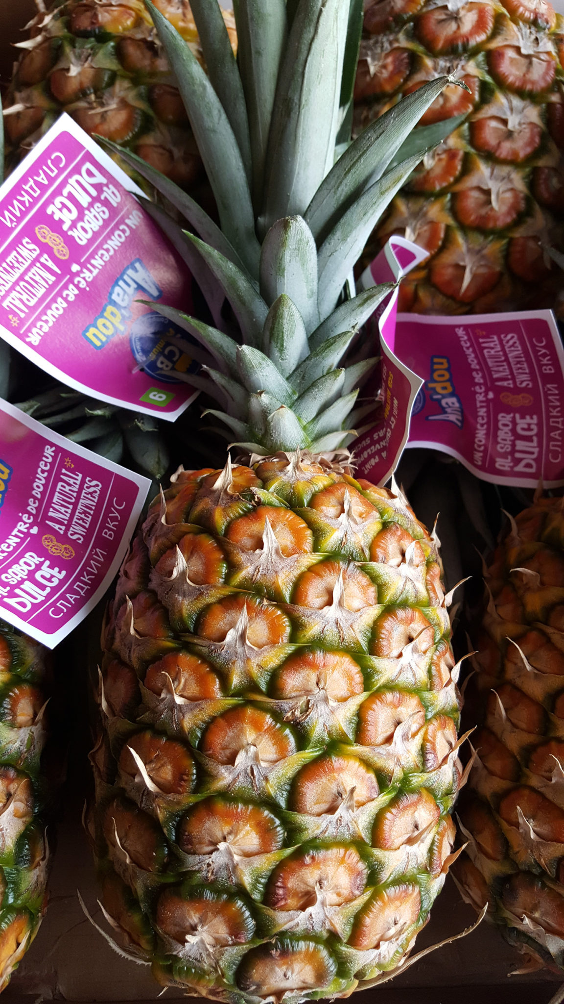 Ananas - Au Potager de Bécheret