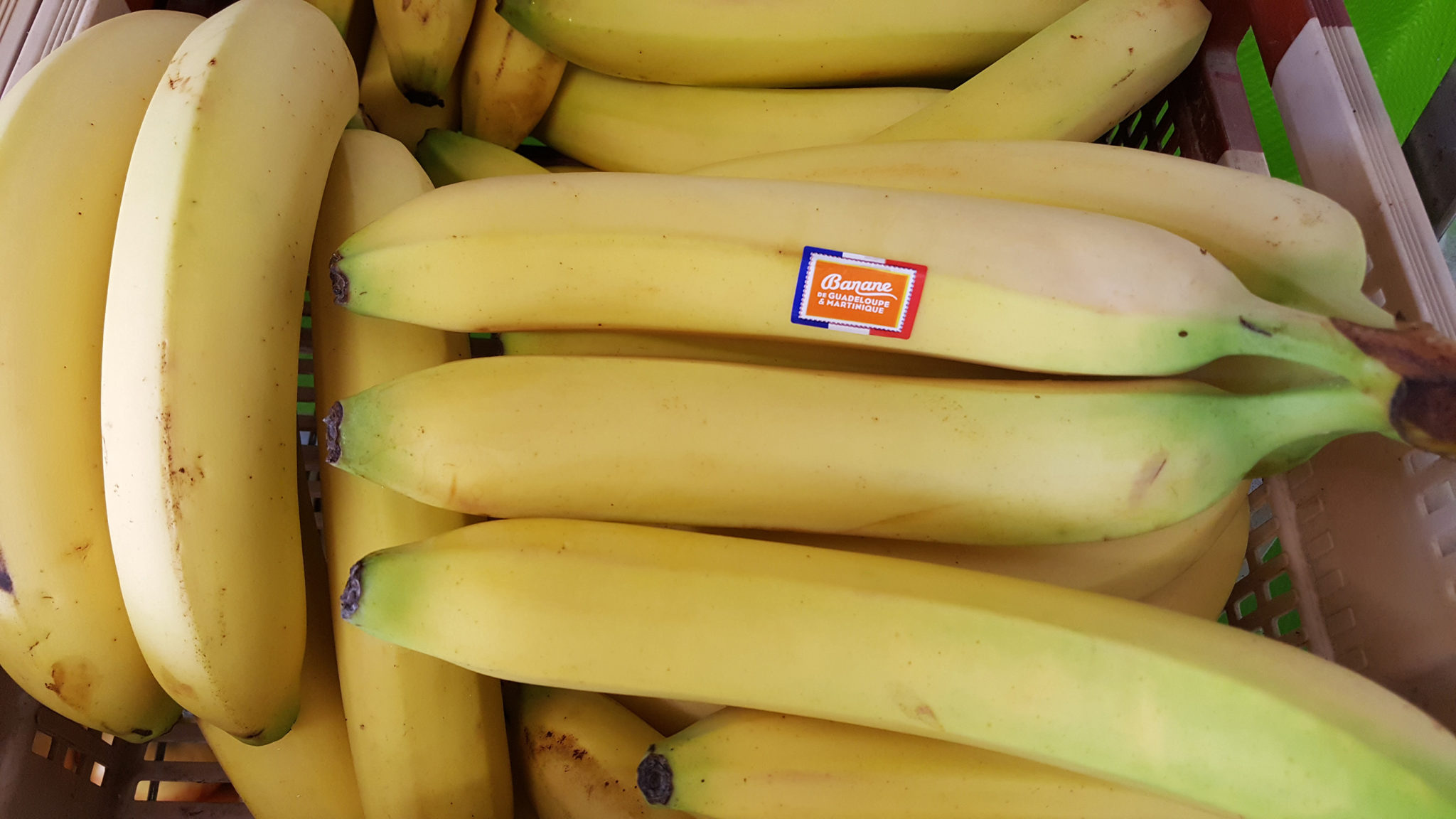 Banane - Au Potager de Bécheret