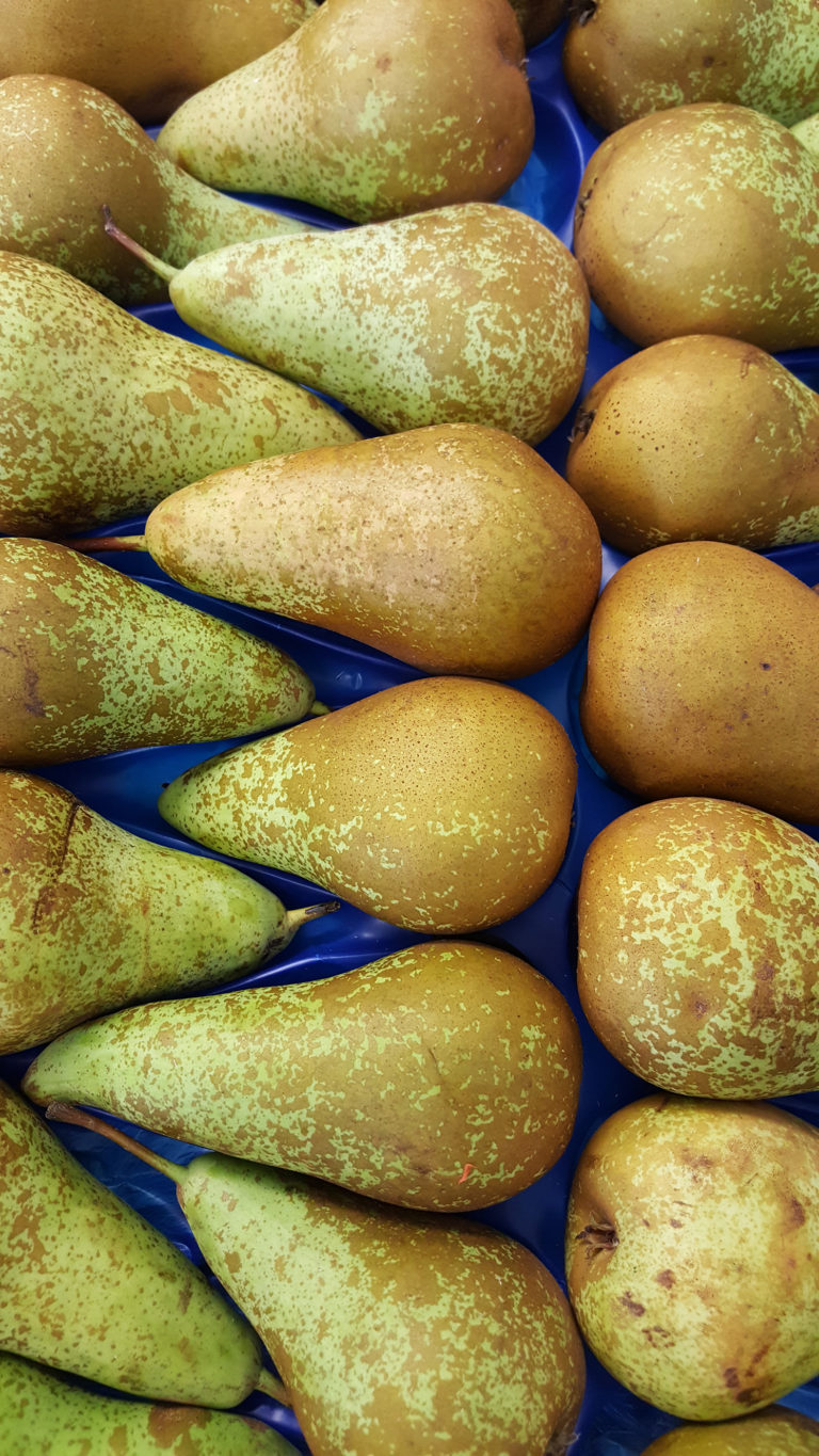 Poire Conférence - Au Potager de Bécheret