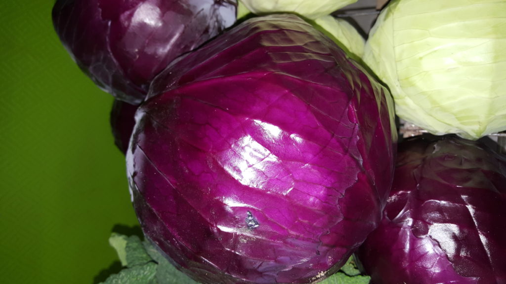 Chou Rouge - Au Potager de Bécheret
