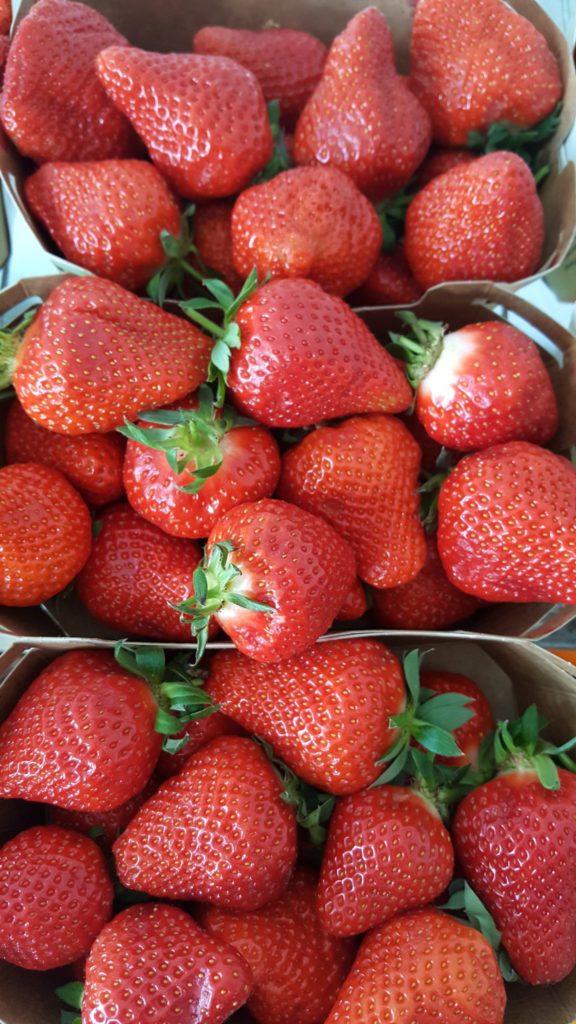 Fraises pleine terre 500gr - Au Potager de Bécheret