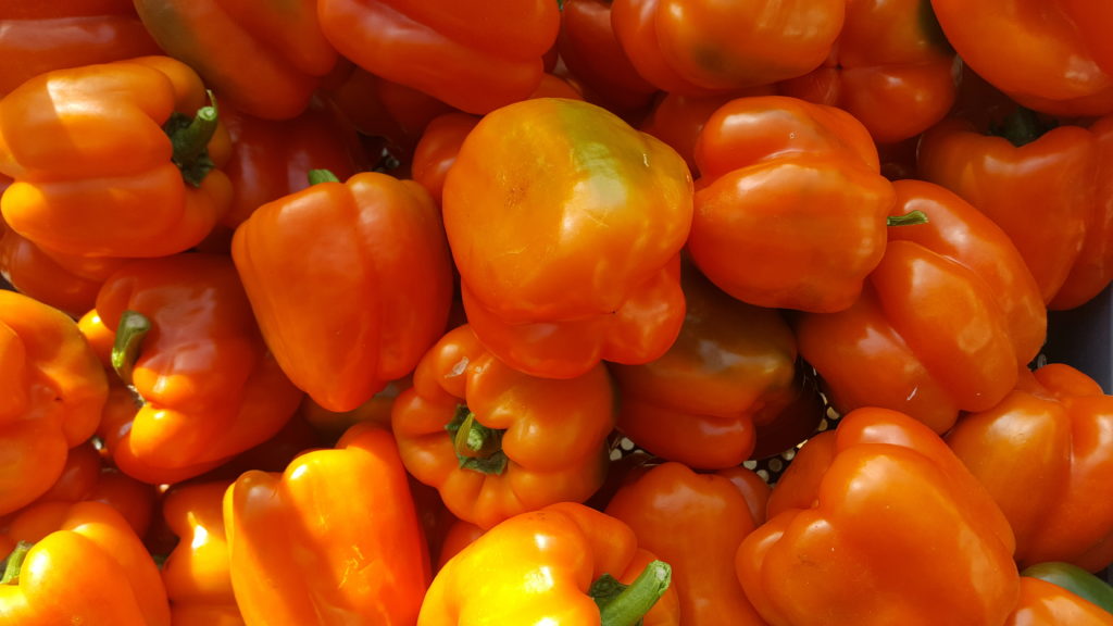 Poivron Orange - Au Potager de Bécheret